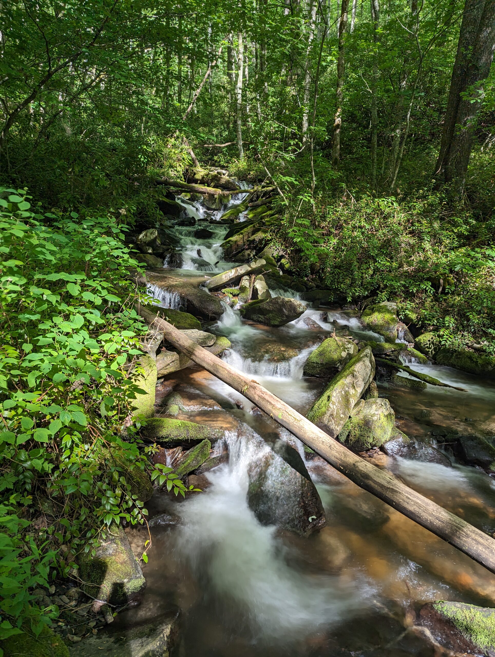 In the Stream | Original Poem | The Hope of Glory